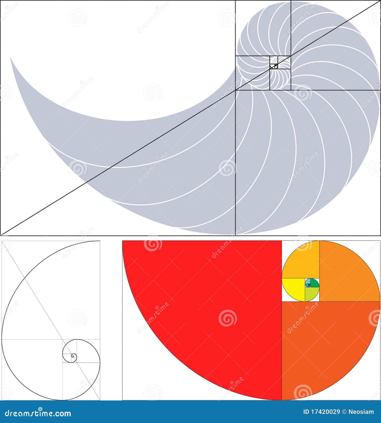 Golden Section stock vector. Illustration of artists - 17420029