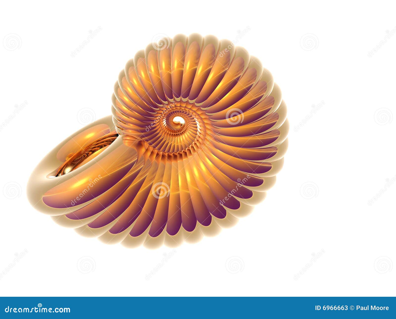 Golden Shell stock illustration. Illustration of gold - 6966663