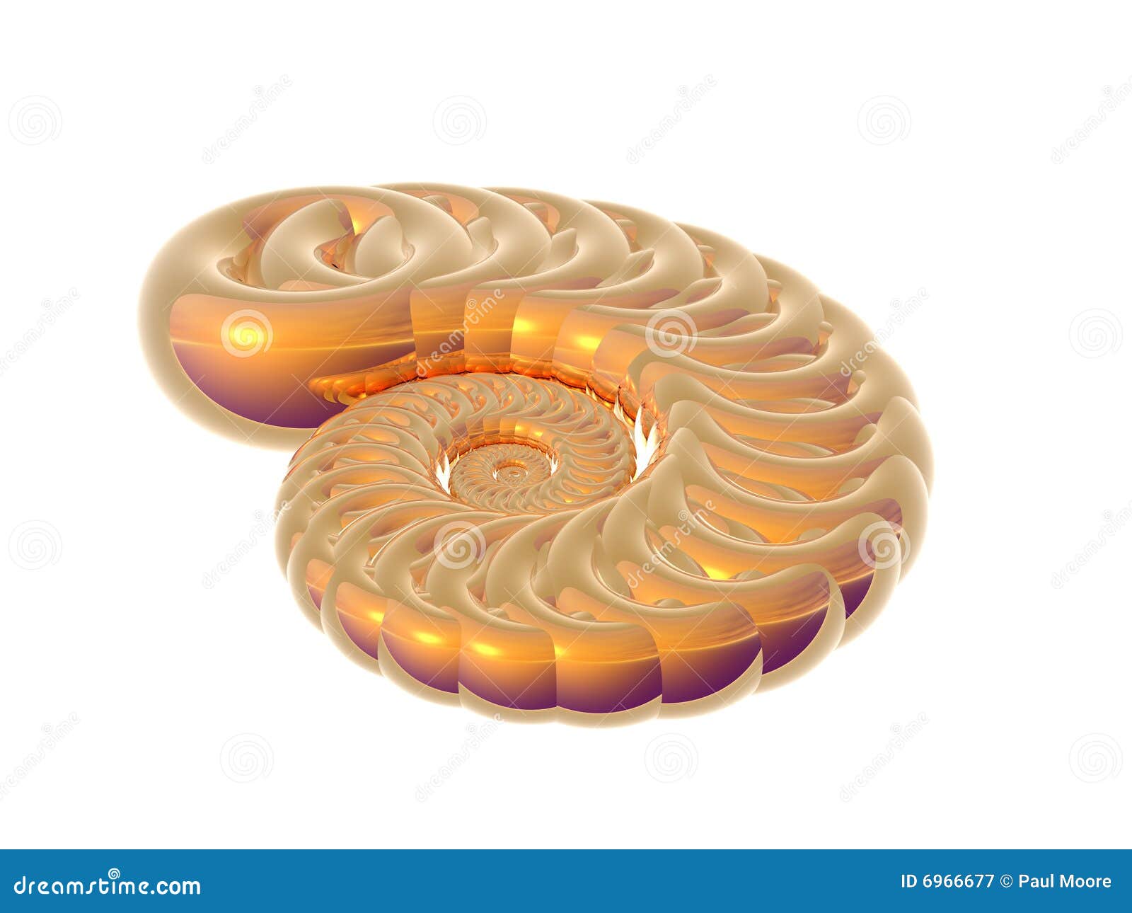 Golden Shell stock illustration. Illustration of shellfish - 6966677