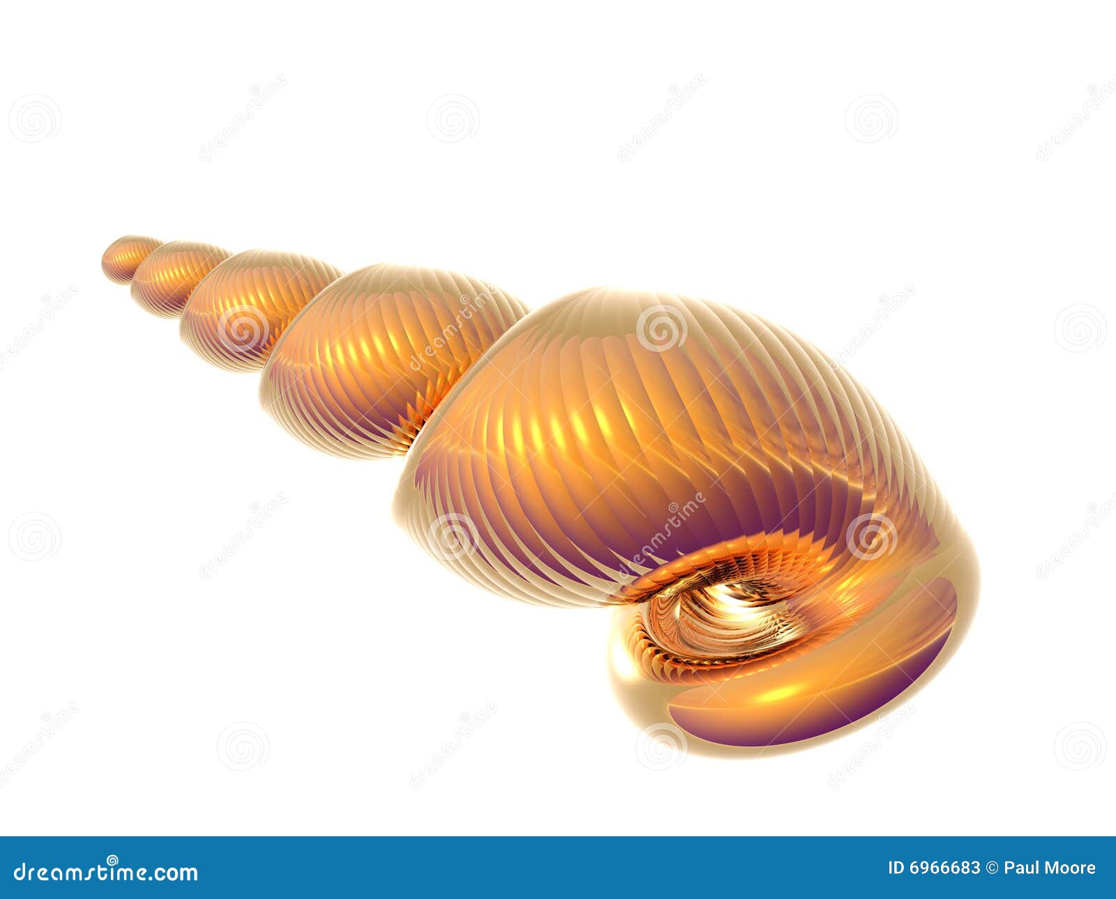 Golden Shell stock illustration. Illustration of shallow - 6966683