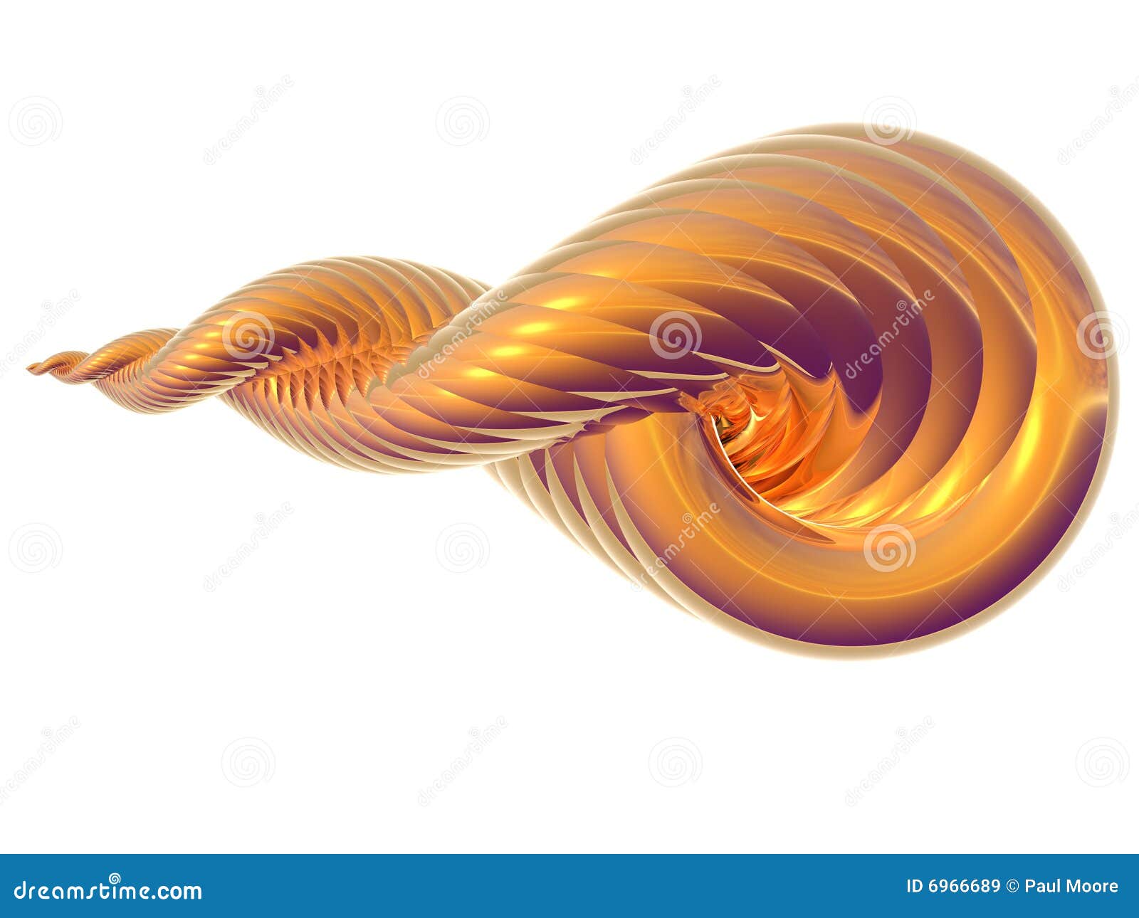 Golden Shell stock illustration. Illustration of golden - 6966689