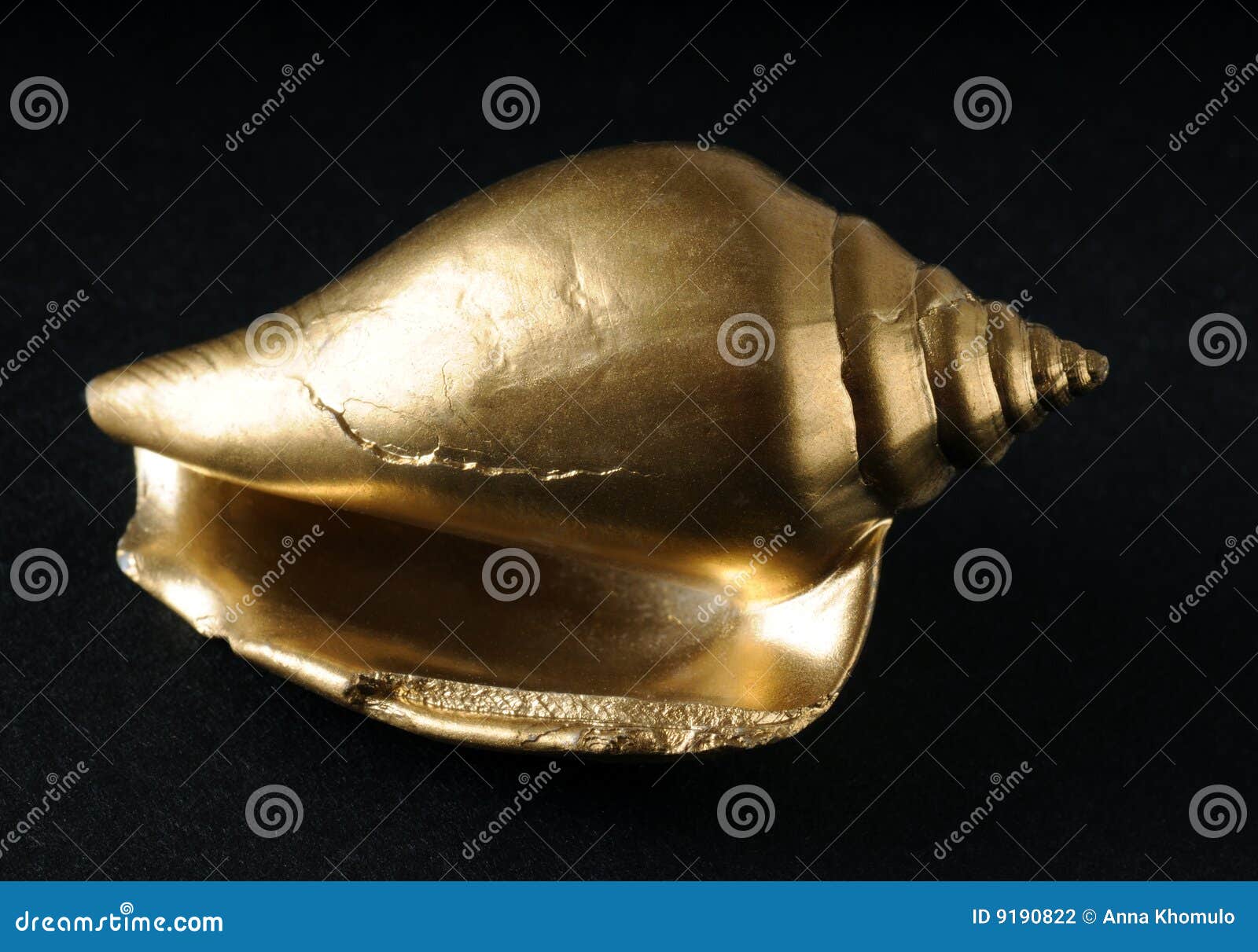 Golden shell stock photo. Image of golden, concept, conceptual - 9190822