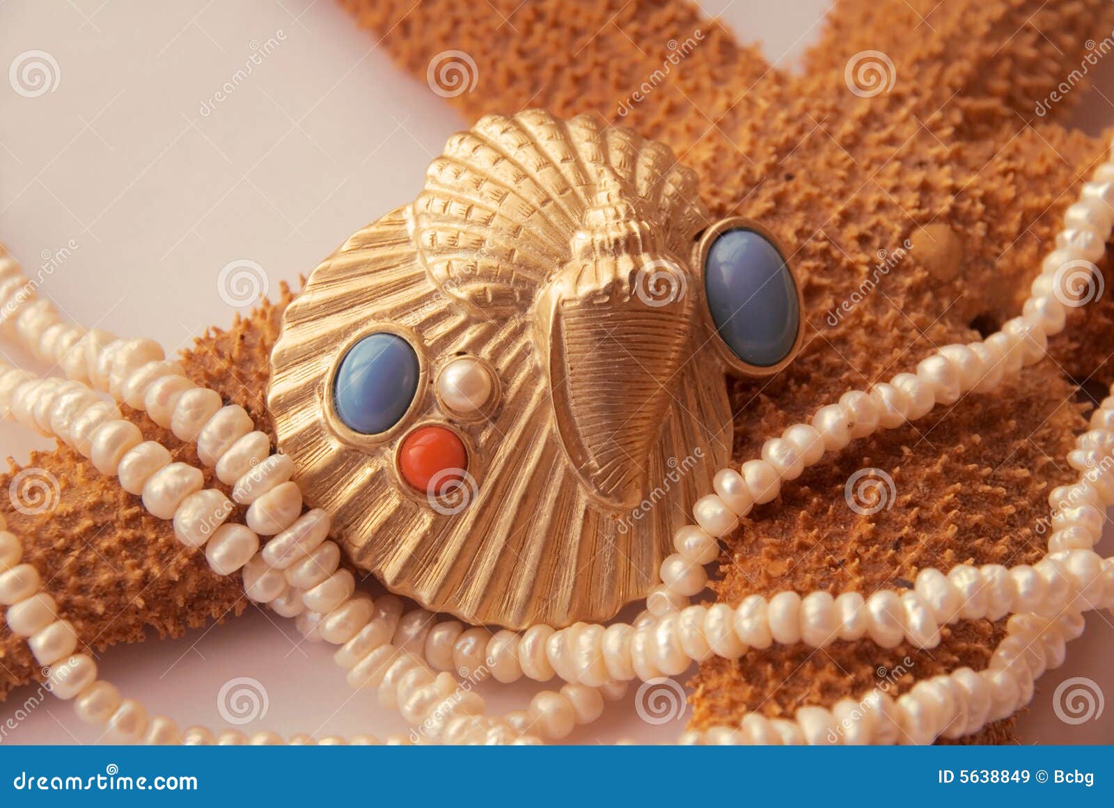 Golden Shell with Pearl, Turquoise, Coral, Starfis Stock Image - Image ...