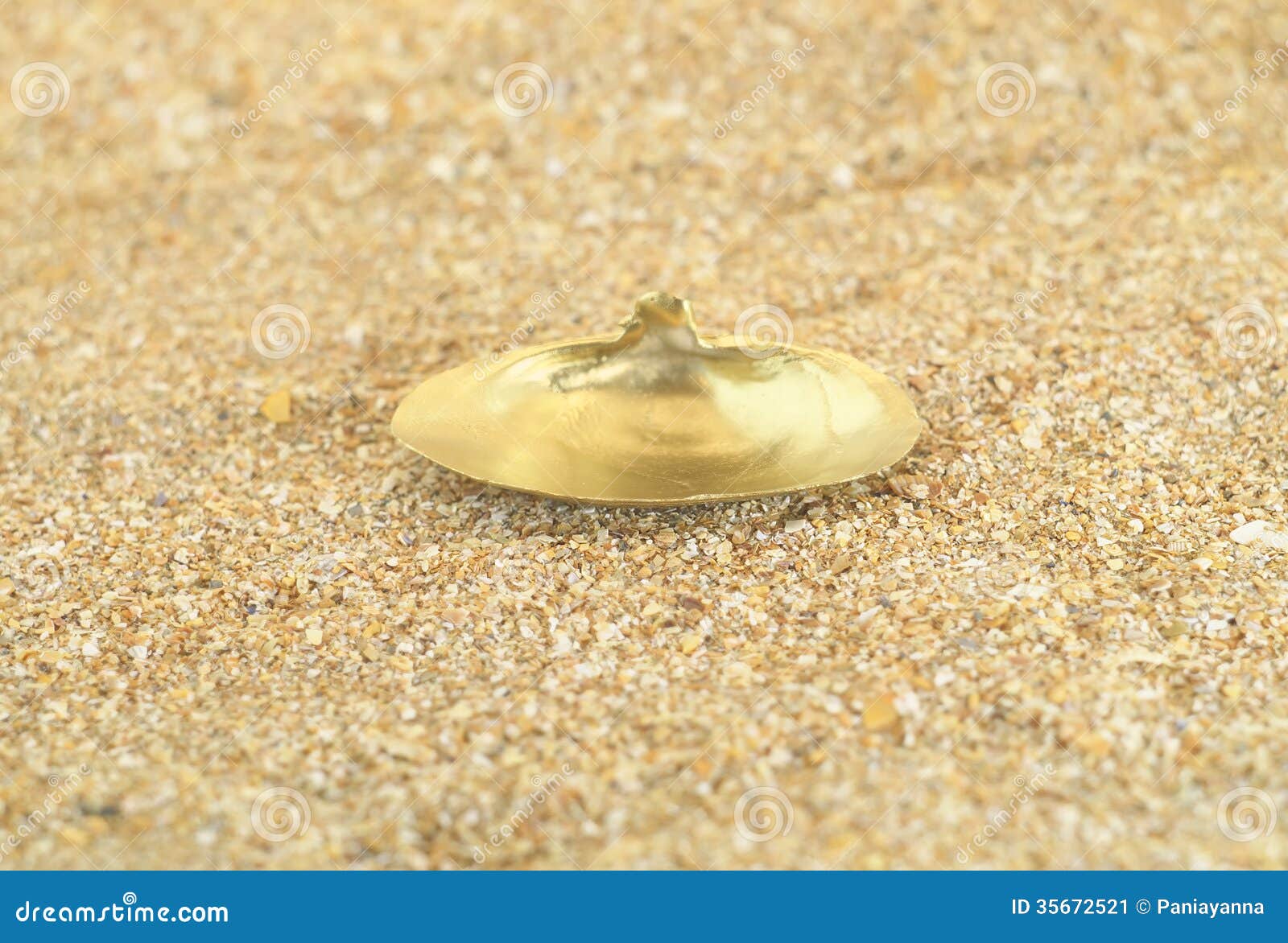 Golden shell stock image. Image of coarse, closeup, golden - 35672521