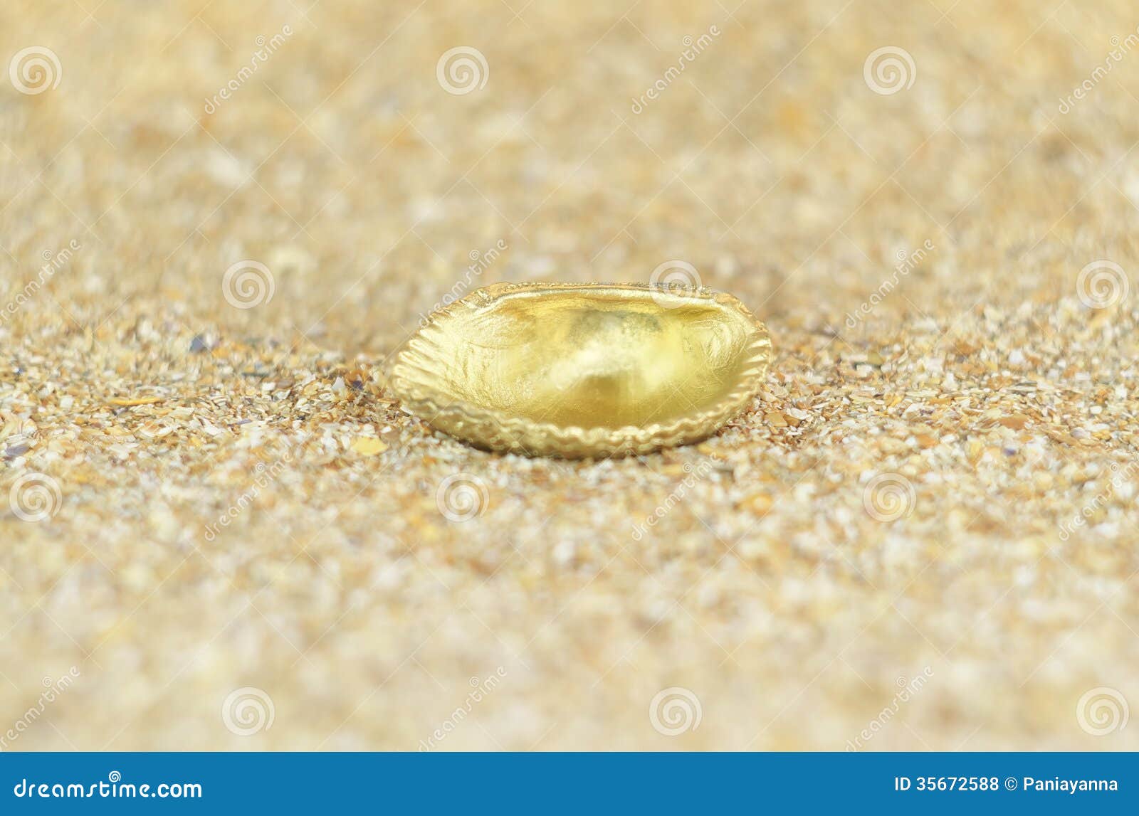 Golden shell stock photo. Image of luck, metal, macro - 35672588