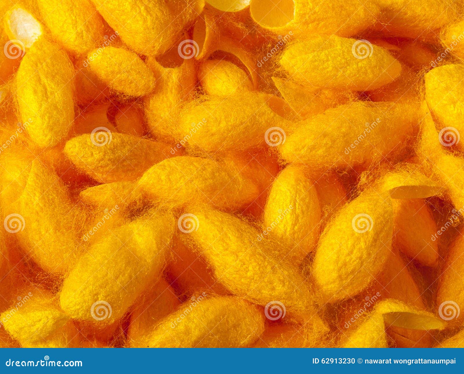Golden Silkworm Cocoon in Background Stock Photo - Image of mulberry ...
