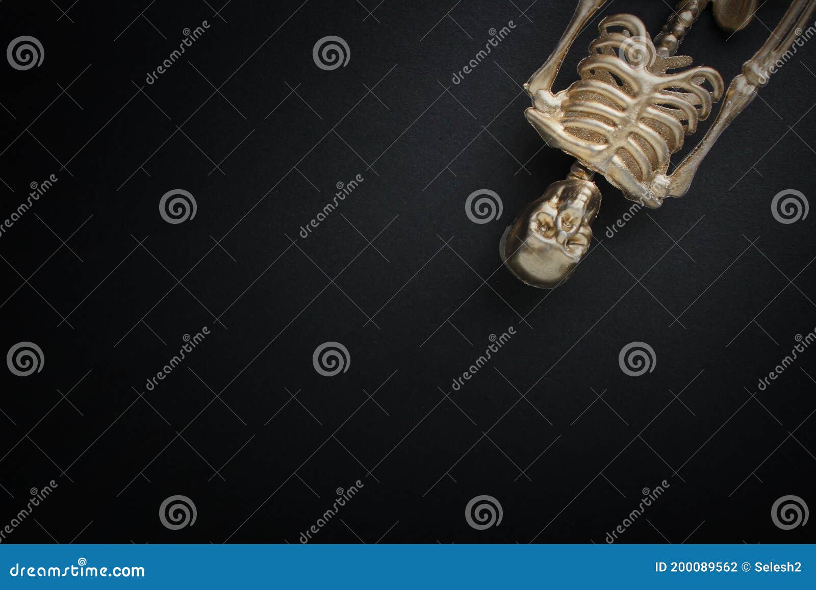 Golden Skeleton on a Black Background. Halloween Concept Stock Photo ...