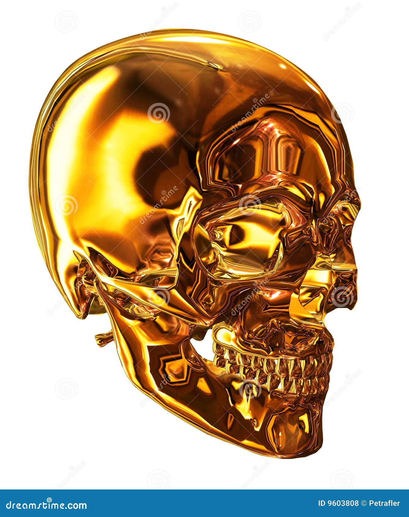 Golden Skull stock illustration. Illustration of skeleton - 9603808