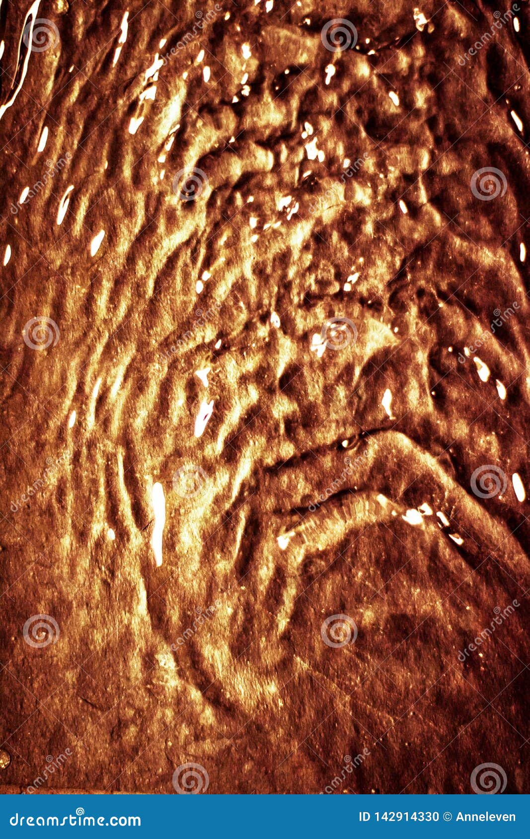 Golden source stock photo. Image of luxury, holidays - 142914330