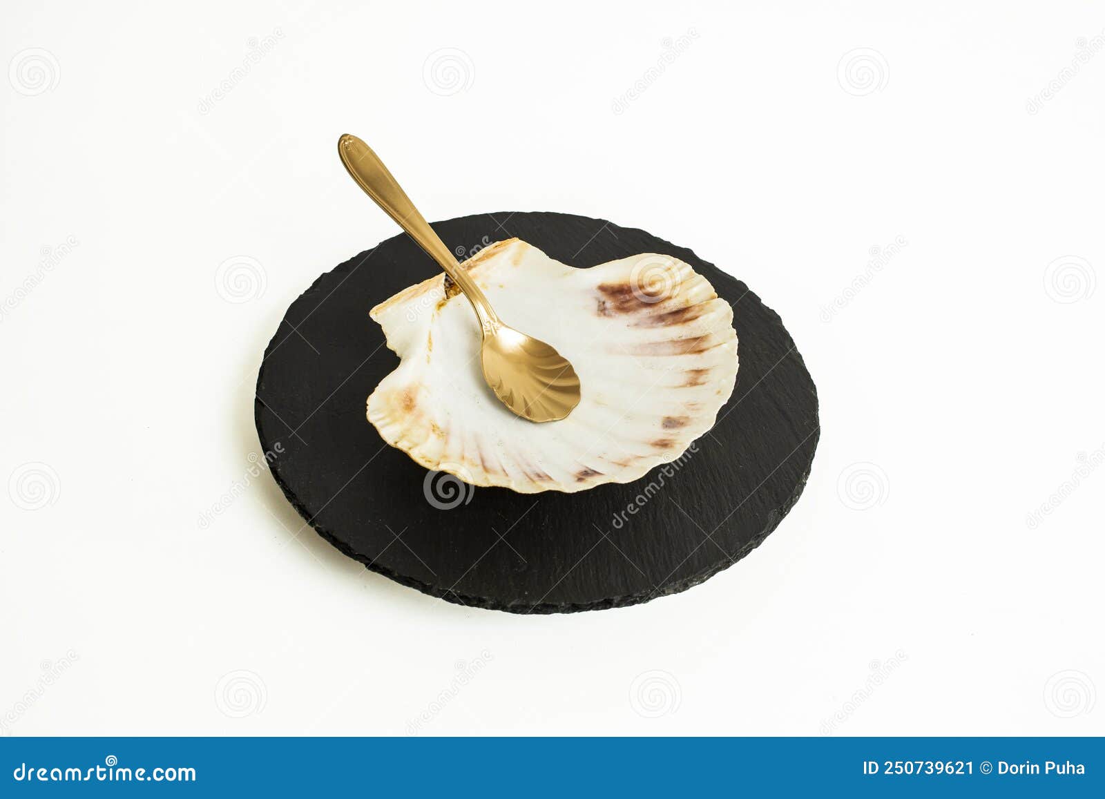 Golden Spoon, Sea Shell and a Black Stone Tile Isolated Stock Image ...