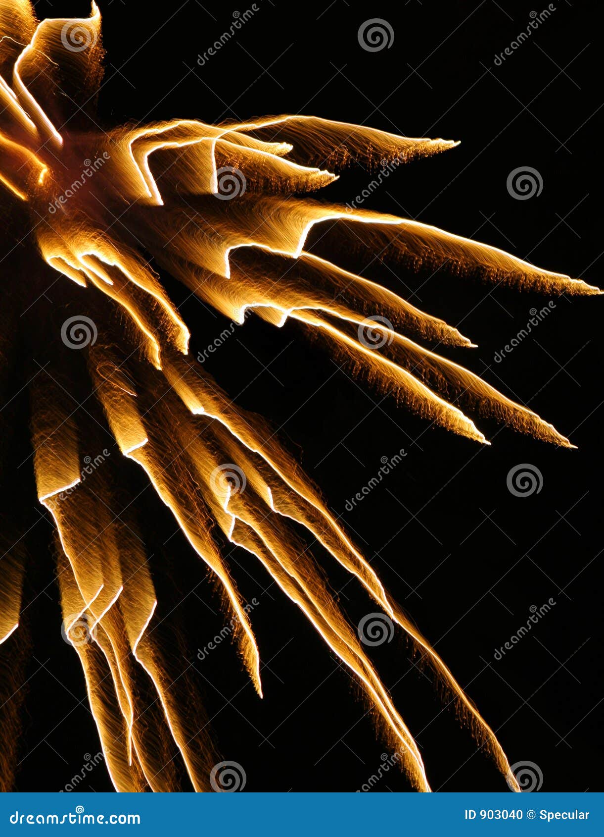 Golden spray firework stock photo. Image of fire, firecracker - 903040