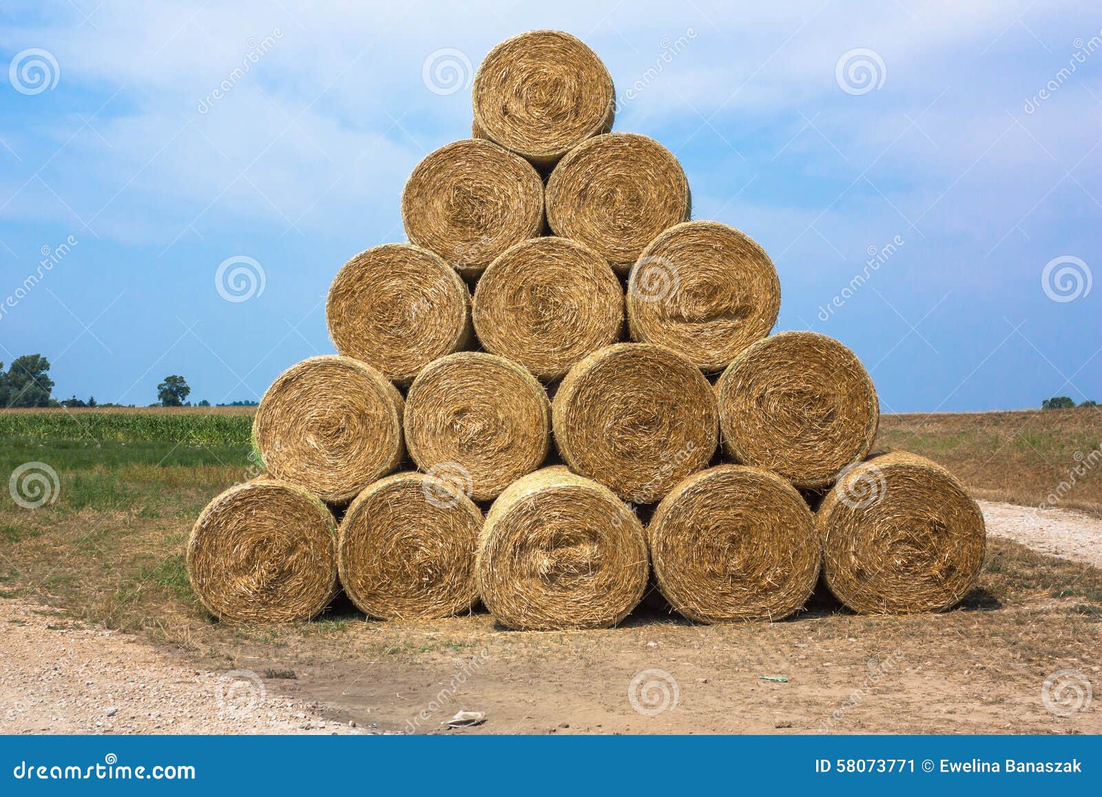Golden straw bales. stock image. Image of outdoor, agriculture - 58073771