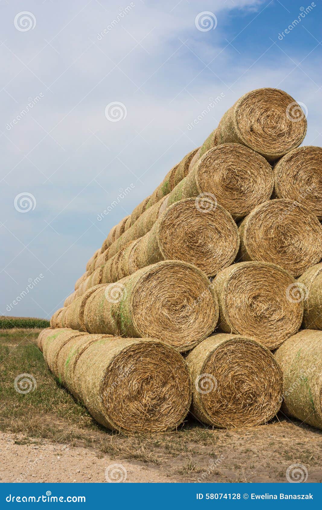 Golden straw bales. stock photo. Image of farmland, scenic - 58074128
