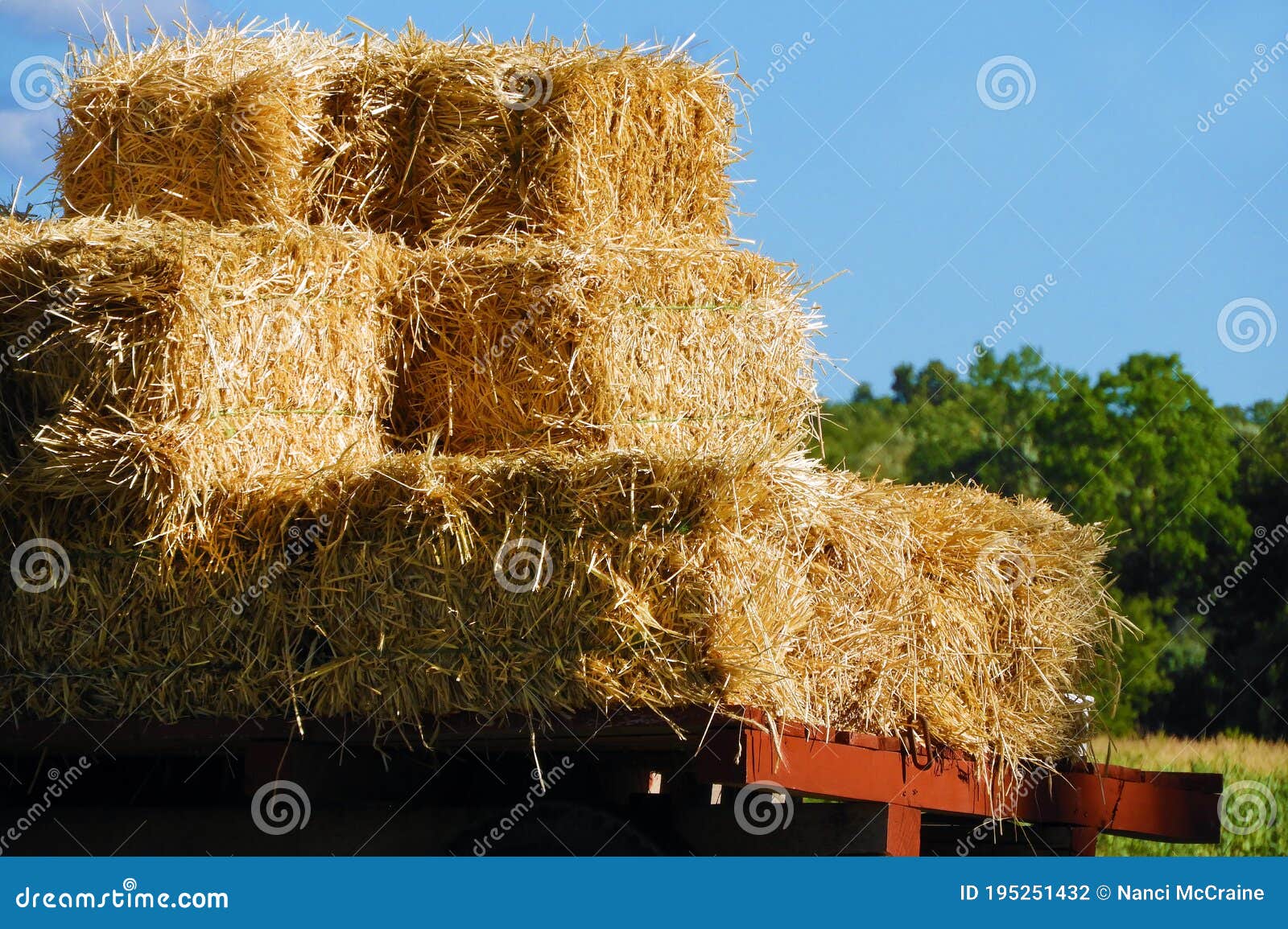 A Composting Bin Including Vegetable Waste To Produce Environmentally ...