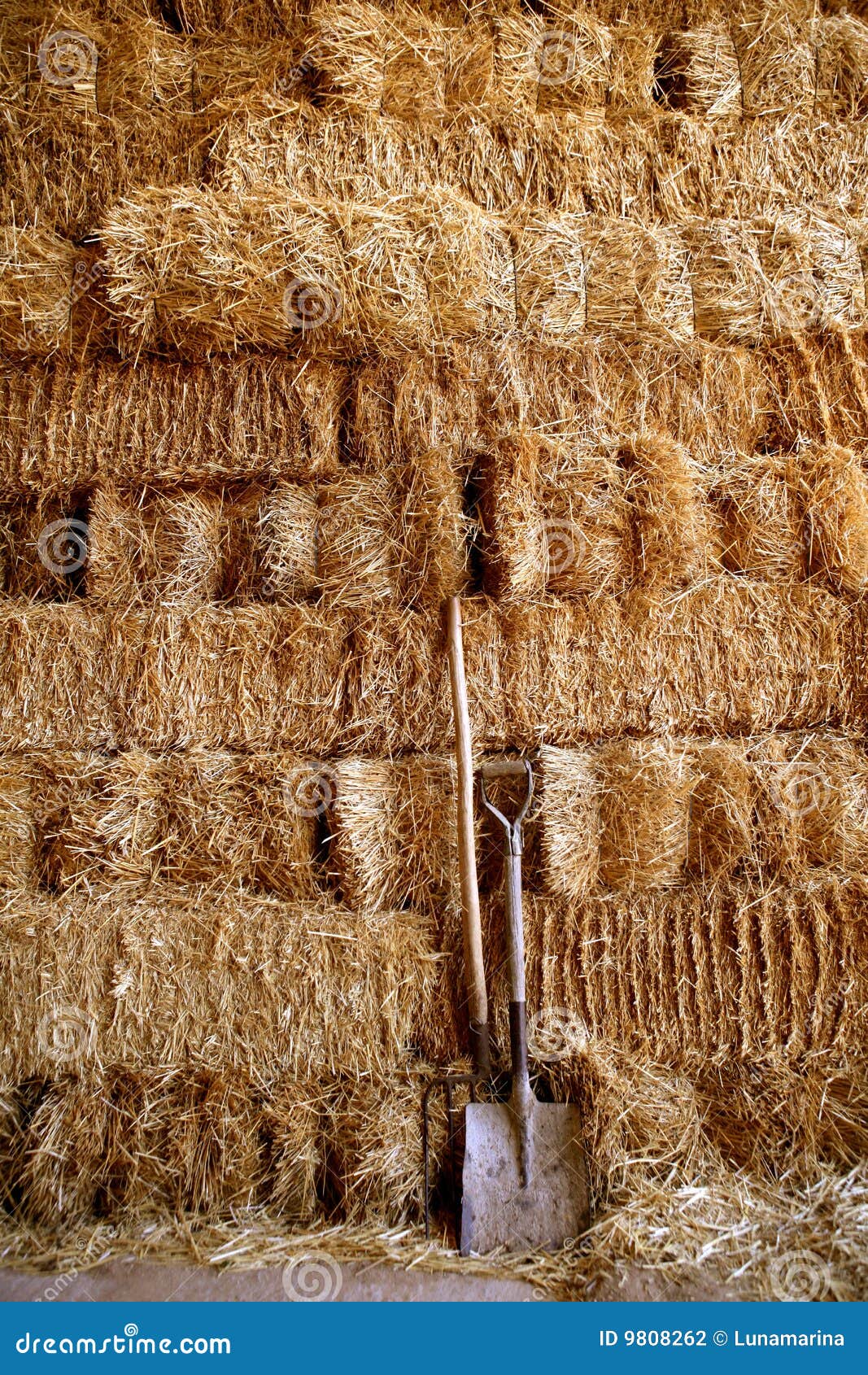 Golden straw barn stacked stock photo. Image of country - 9808262