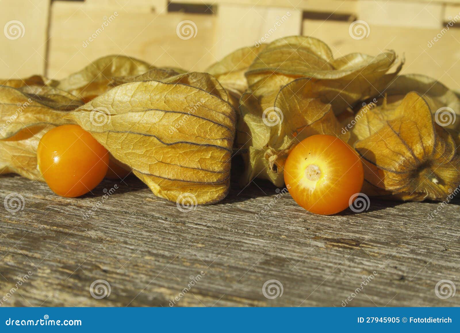 Golden Strawberry (Physalis) Stock Image - Image of beauty, outdoor ...