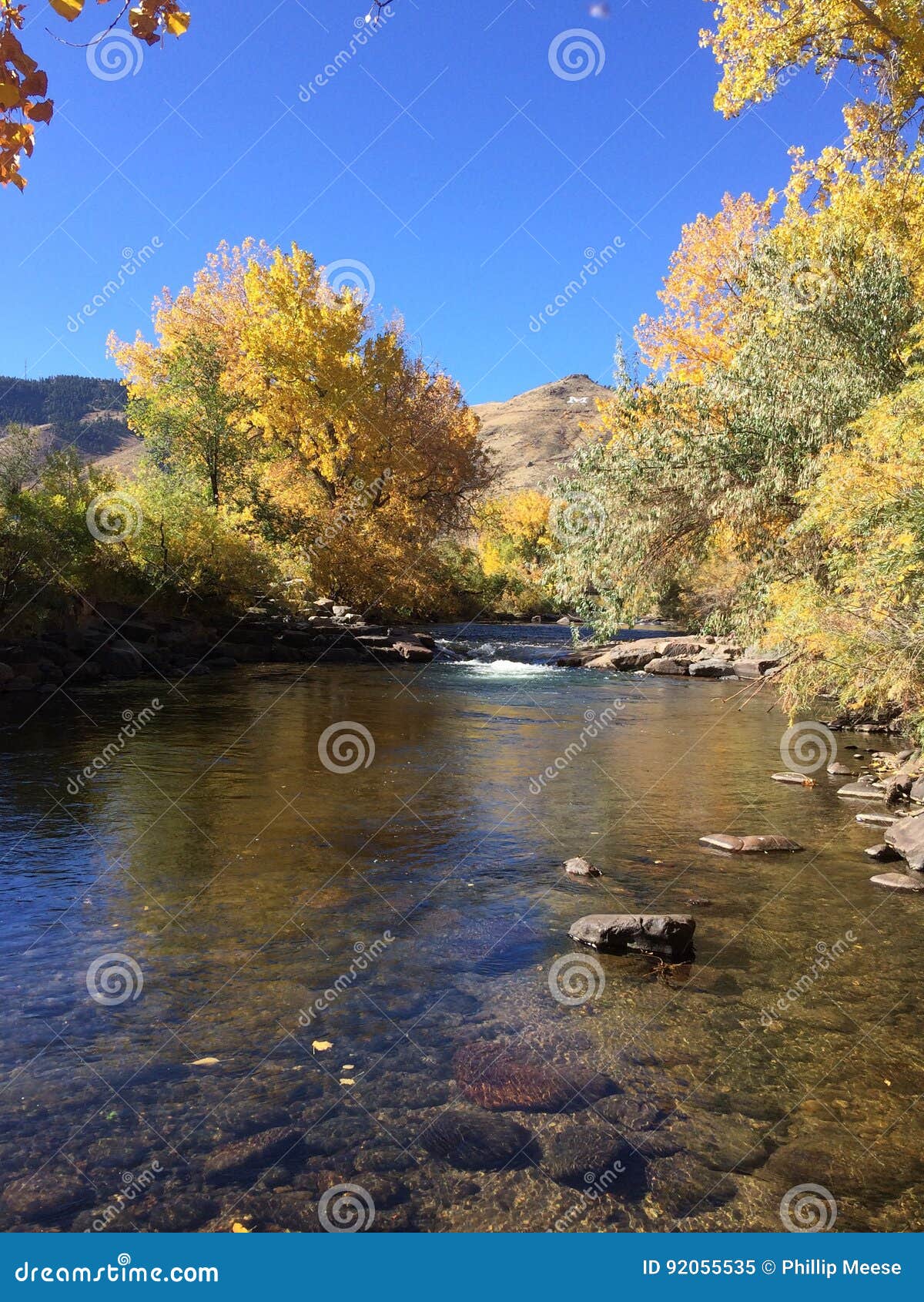 Golden Colorado Stream View Stock Image - Image of golden, stream: 92055535