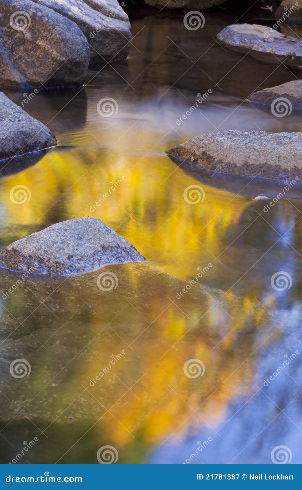 Golden Stream Reflection stock image. Image of golden - 21781387