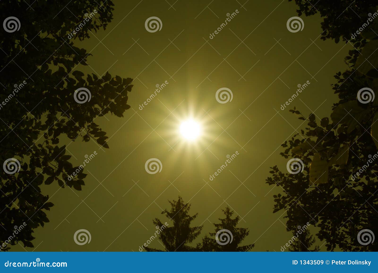 Golden Sun stock image. Image of sunny, deep, color, hope - 1343509