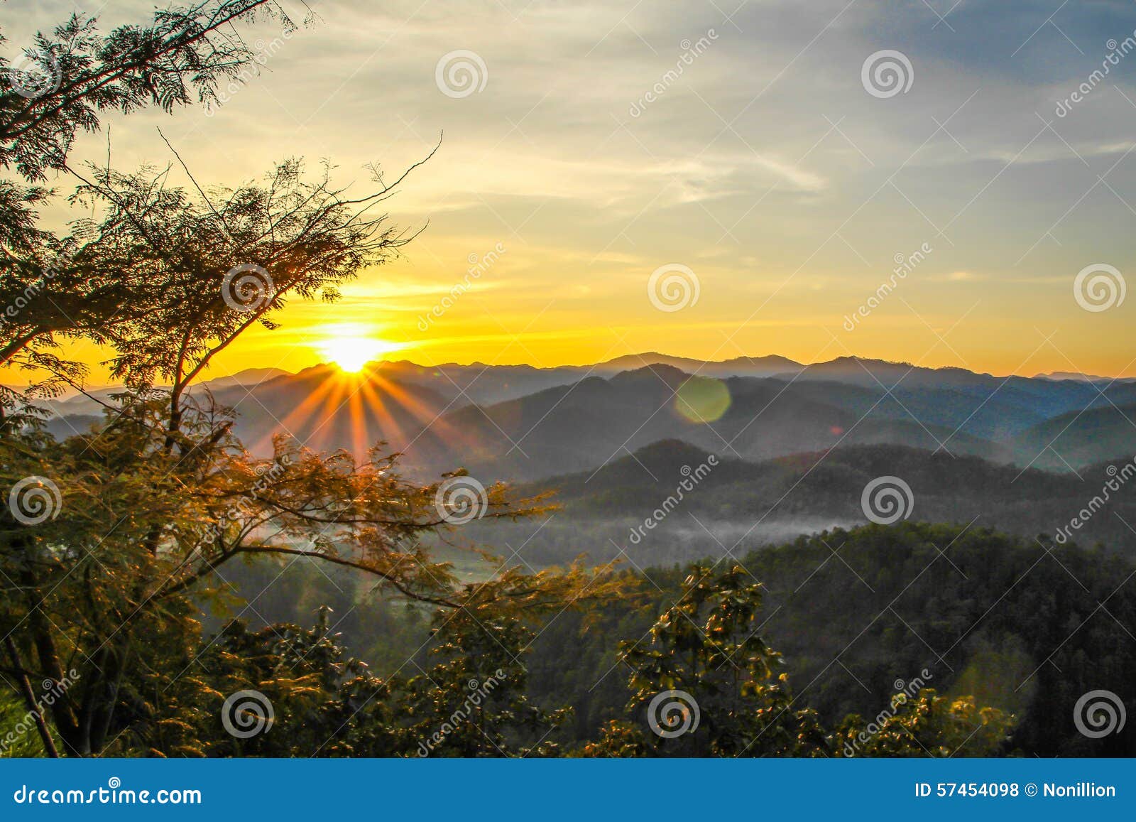 Golden Sun through Forest stock photo. Image of sunshine - 57454098