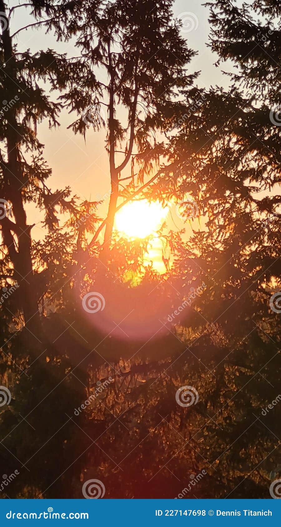 Golden Sun Sets Down so the Night Rises Stock Photo - Image of rises ...