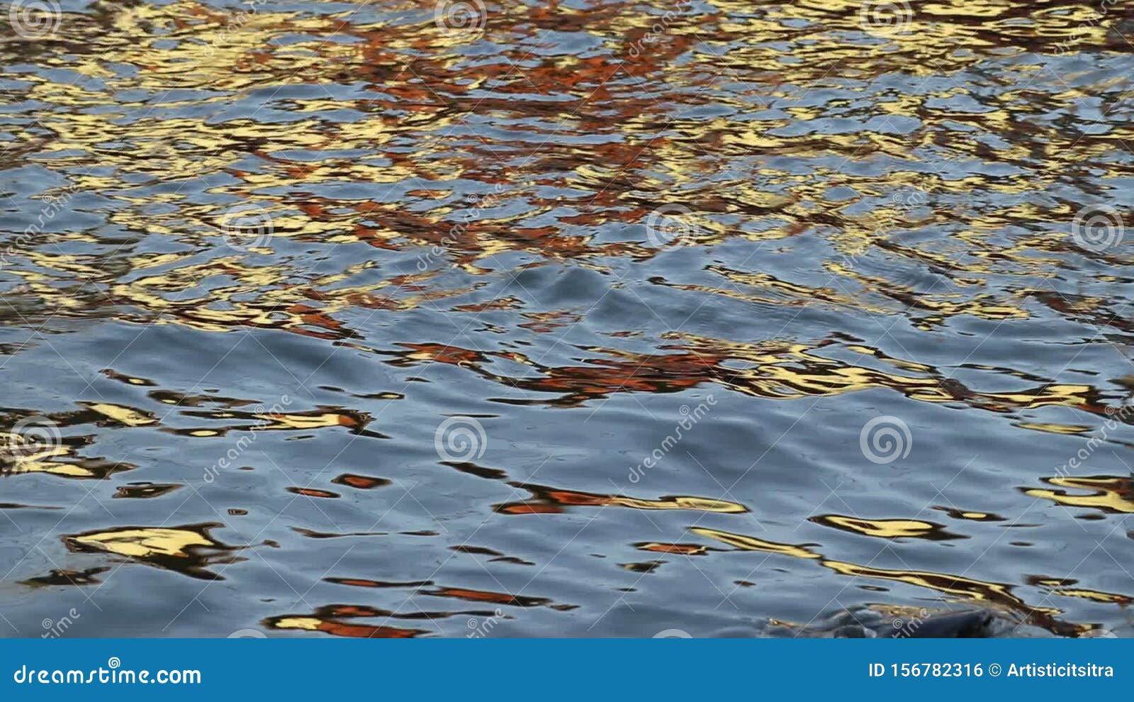 Abstract Nature. Golden Sunlight Water Reflection of House. Shark ...
