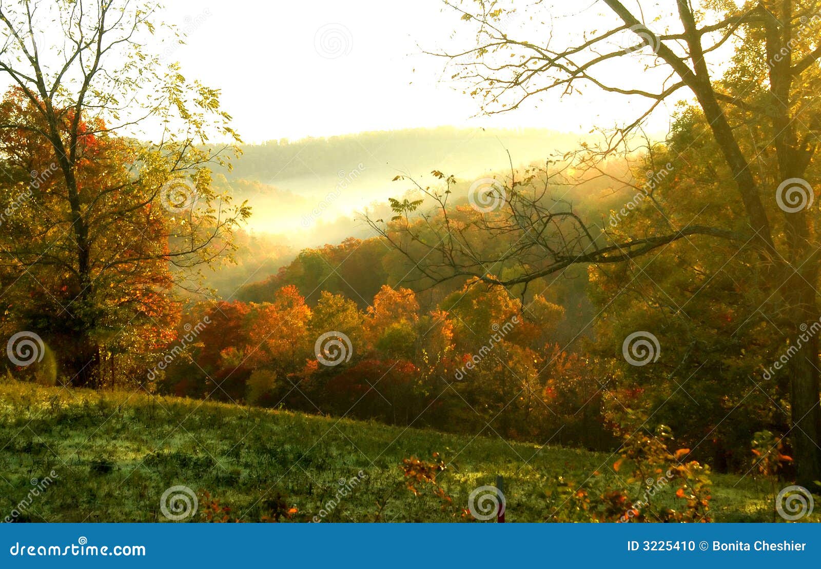 Golden Sunrise on Fall Morning Stock Photo - Image of early, hillside ...