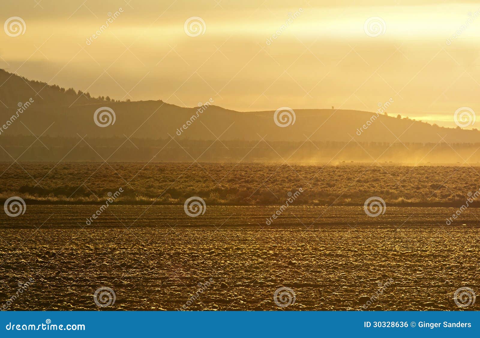 Golden Sunrise Light on Fields Stock Photo - Image of people ...