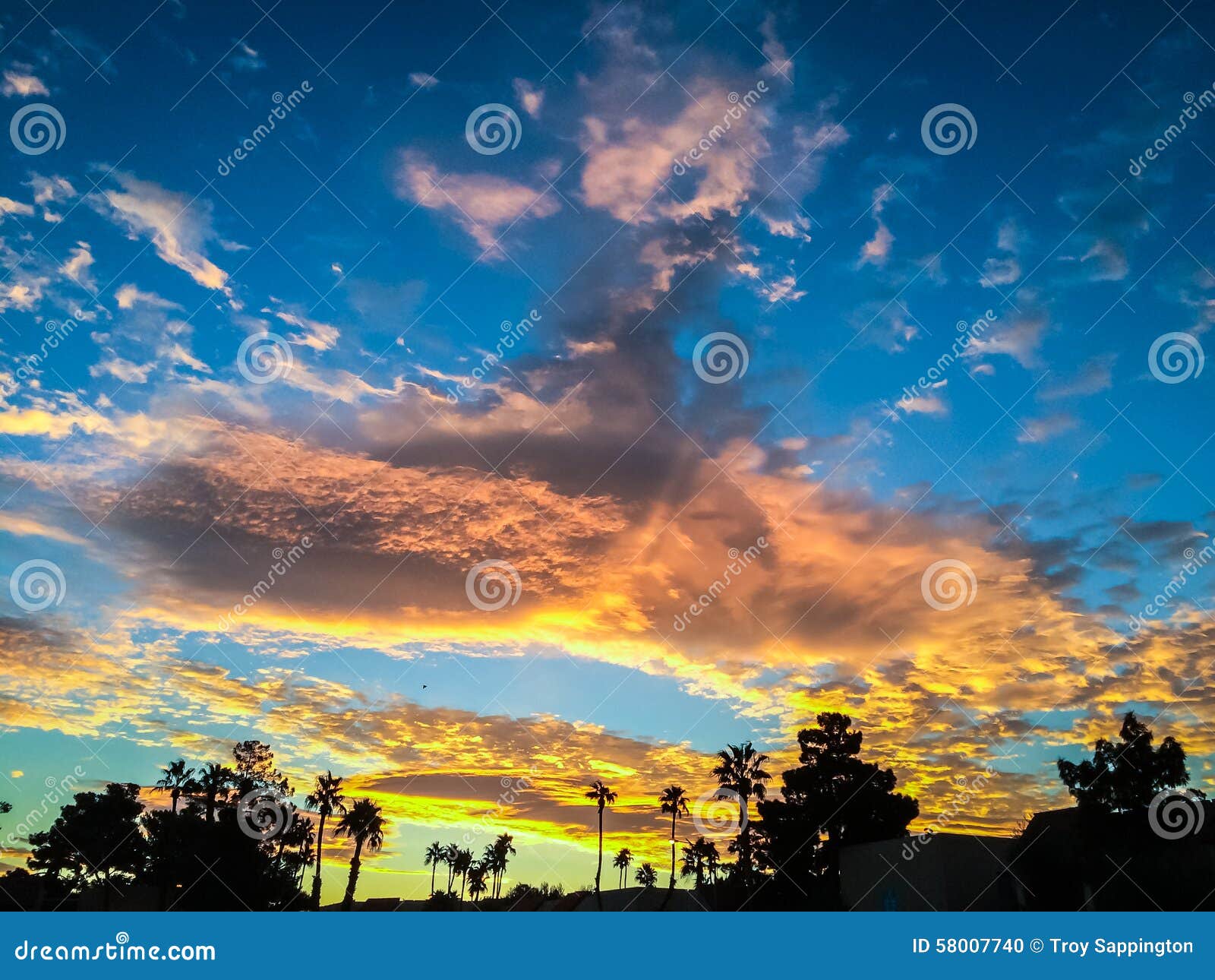 A Golden Sunrise Over Palm Trees. Stock Photo - Image of beauty, color ...