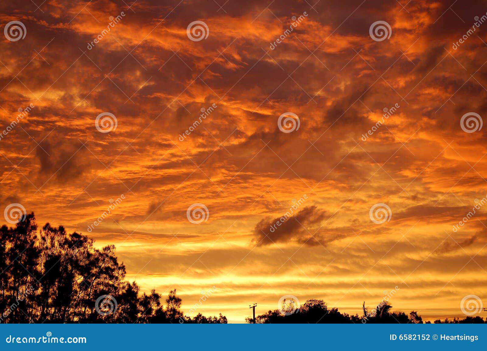 Golden Sunset stock photo. Image of beautiful, golden - 6582152