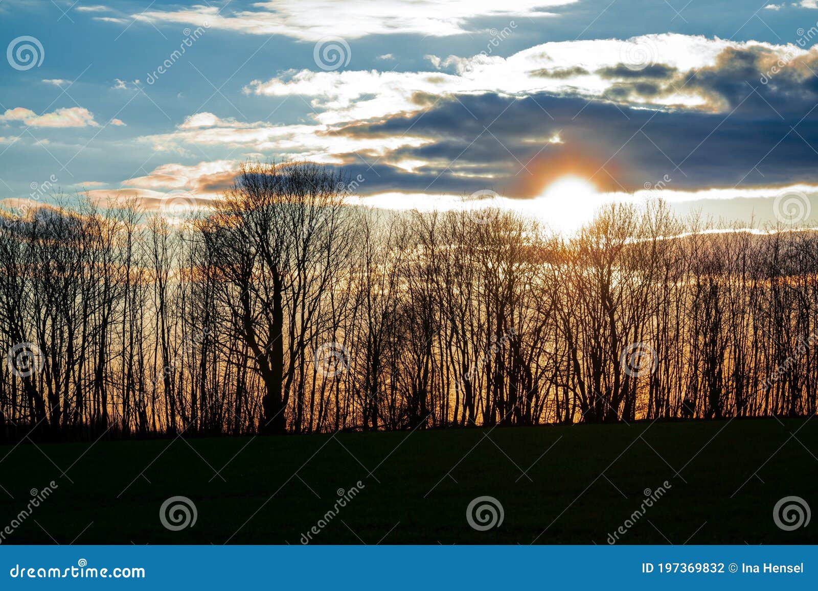 Golden Sunset Behind Bare-branched Trees in Spring Stock Photo - Image ...