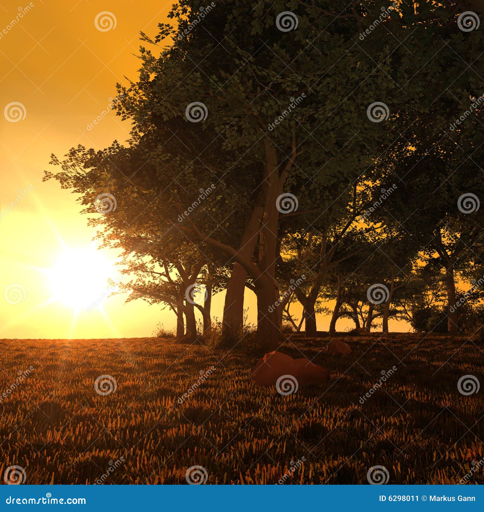 Golden sunset forest stock image. Image of natural, dramatic - 6298011