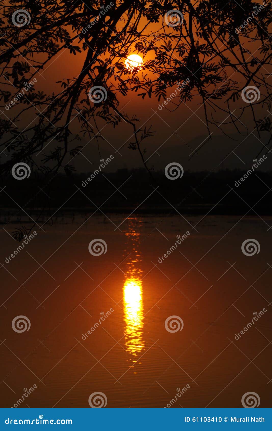 Golden Sunset stock photo. Image of orange, scene, summer - 61103410