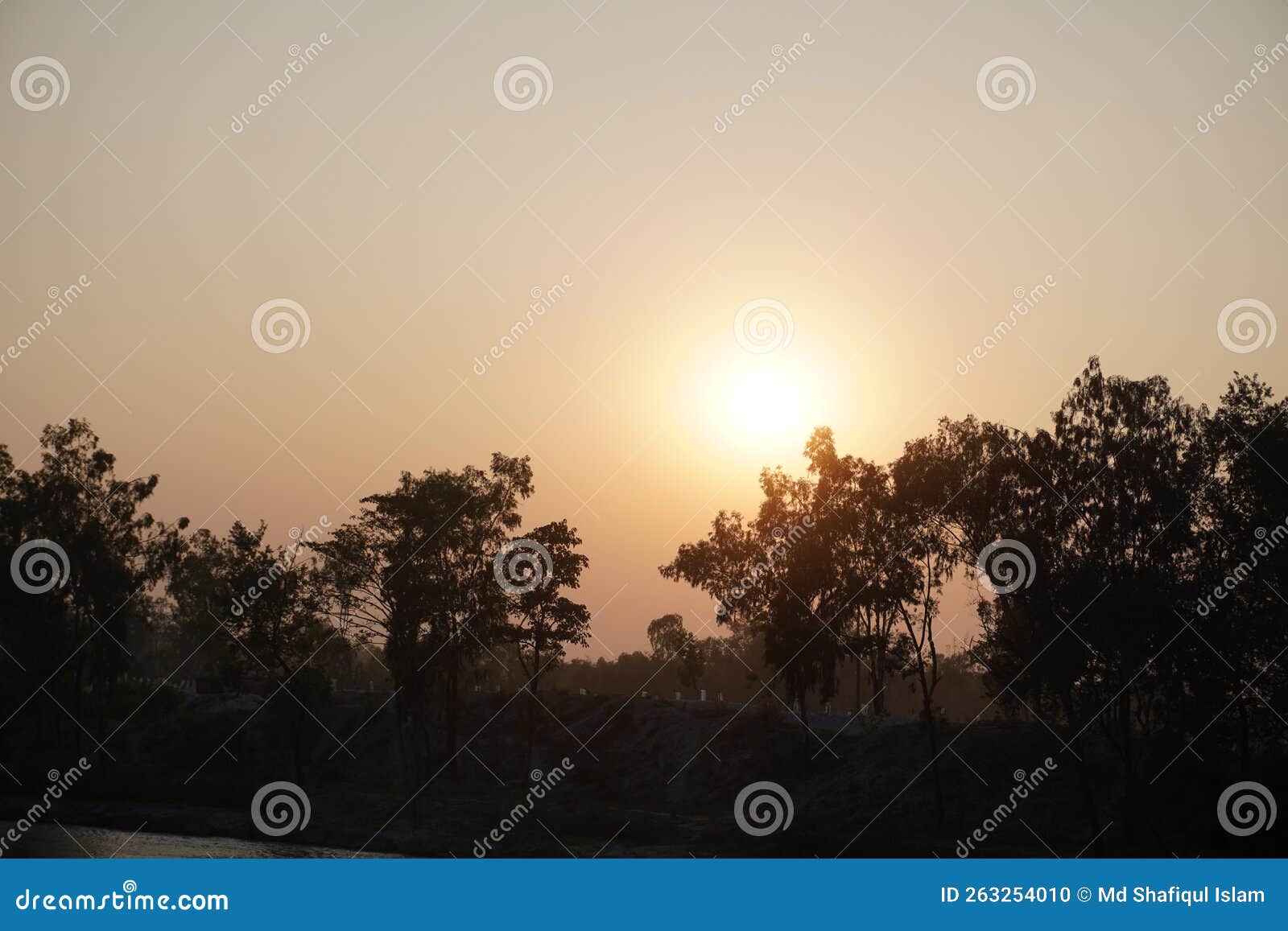 Golden Sunset Over the Tree in Evening Time Stock Photo - Image of ...