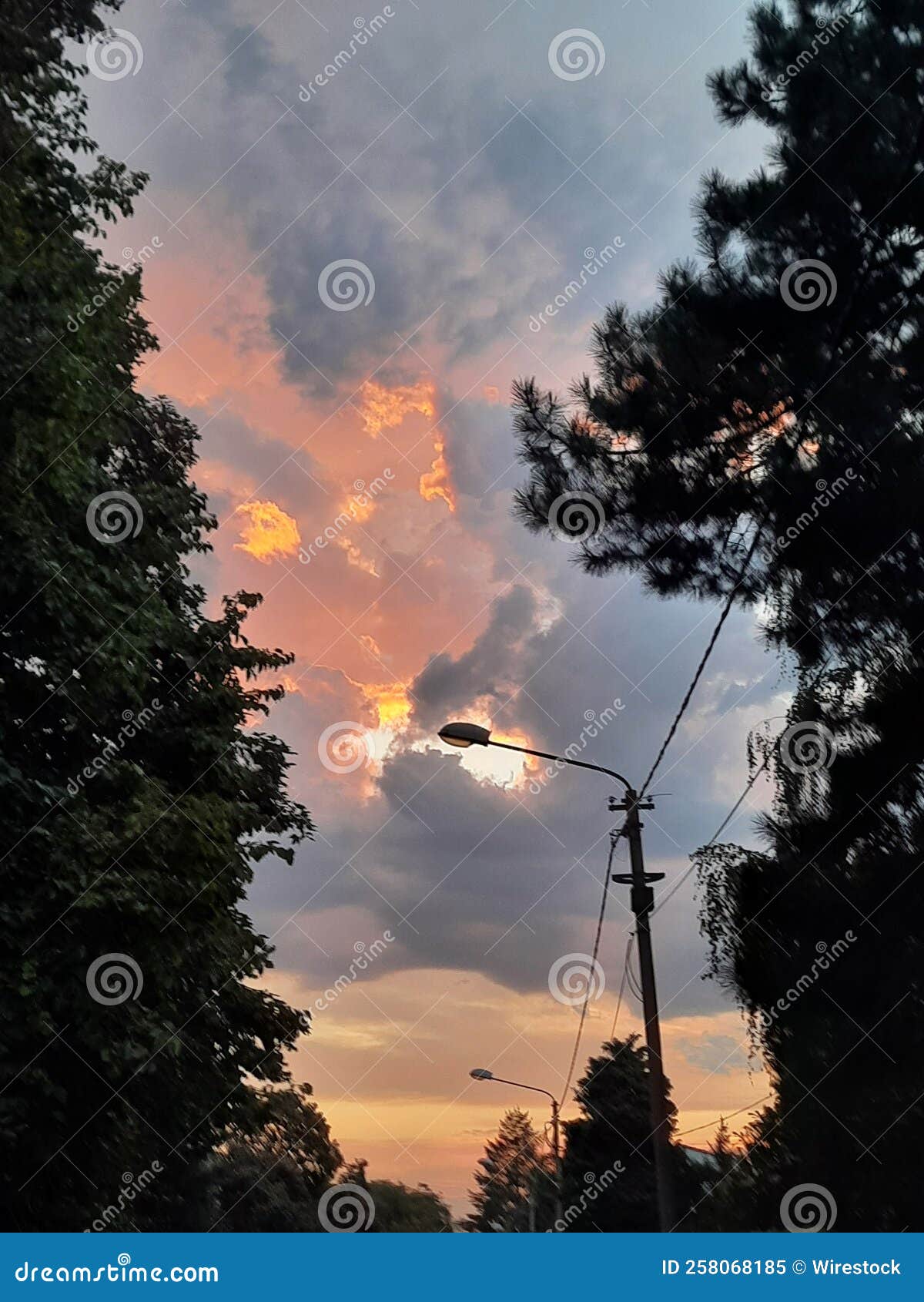 Golden Sunset Over the Trees and Street Lights Stock Image - Image of ...