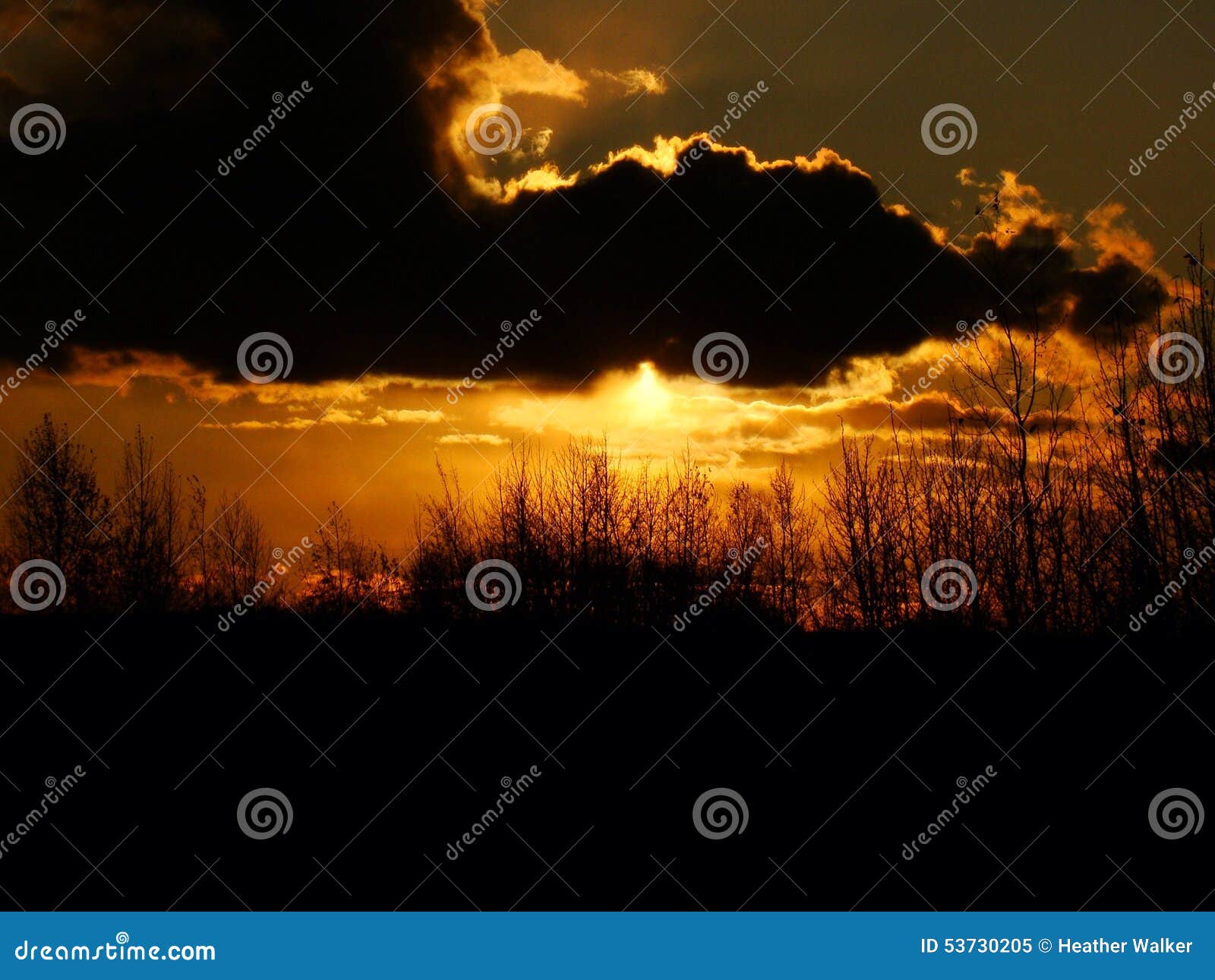 Golden sunset stock image. Image of color, sunset, golden - 53730205