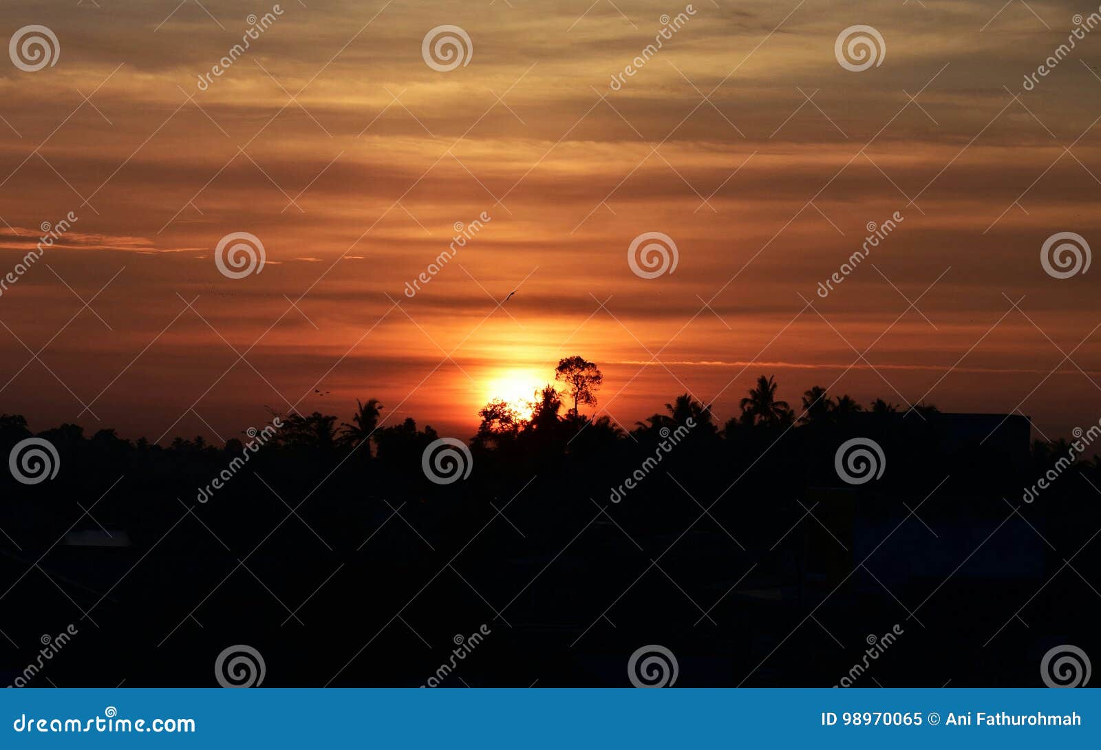 Golden Sunset on Top of Siluet Forest Stock Image - Image of beautiful ...