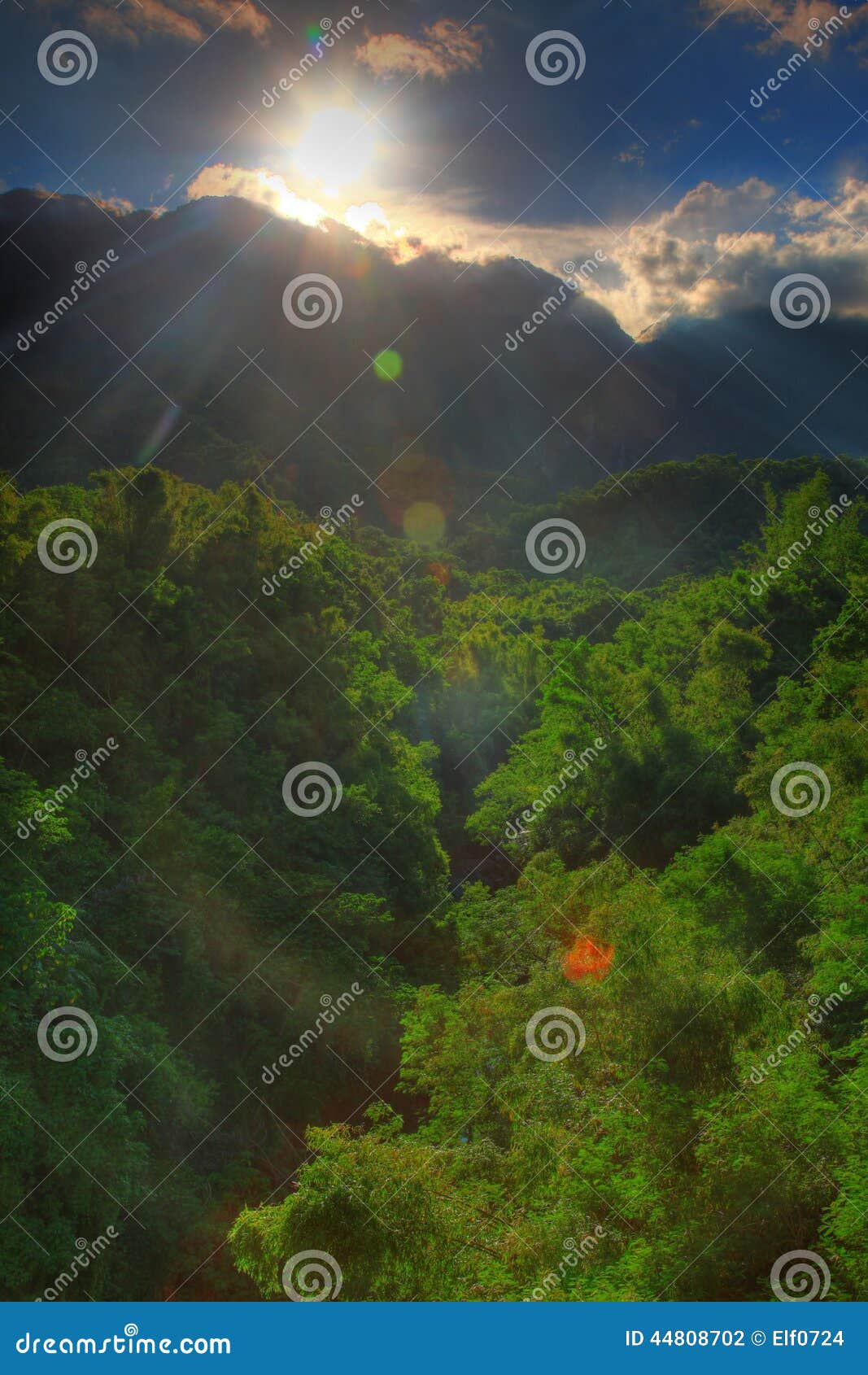 Golden Sunshine and Nature Picture Stock Photo - Image of shiny, cloud ...