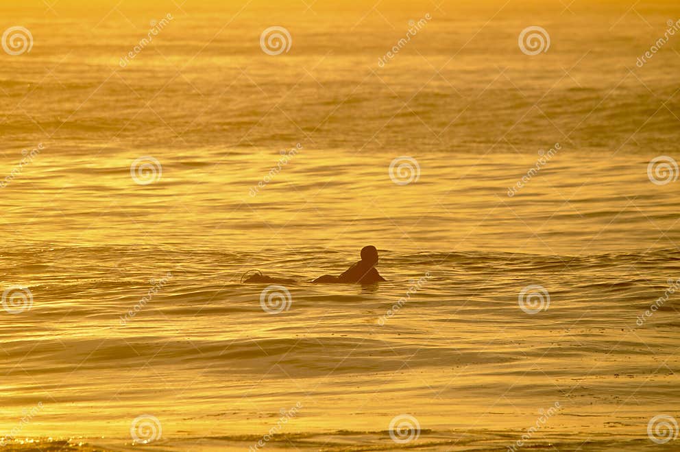 Golden surfer stock photo. Image of surf, sunset, water - 15373746