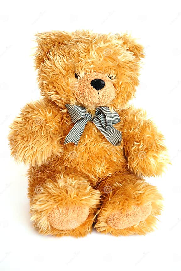 Golden teddy bear stock photo. Image of present, detail - 1352026