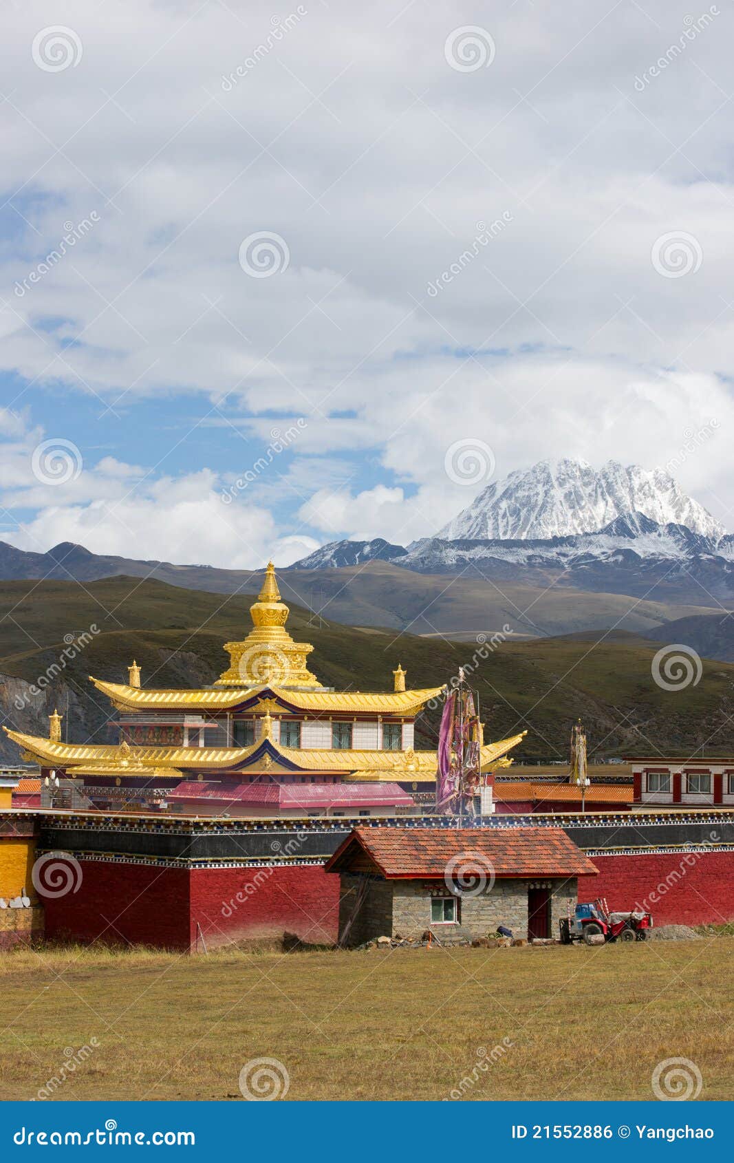 Golden Temple with Snow Mountain Stock Photo - Image of grass, mountain ...