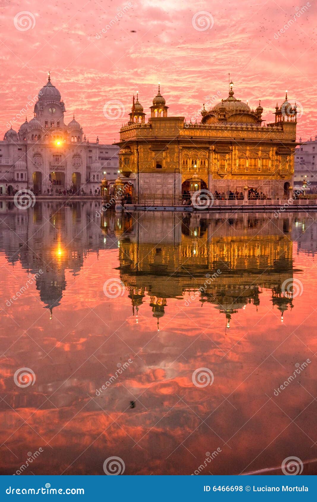 Golden Temple at Sunset, Amritsar, Stock Photo - Image of disciple ...