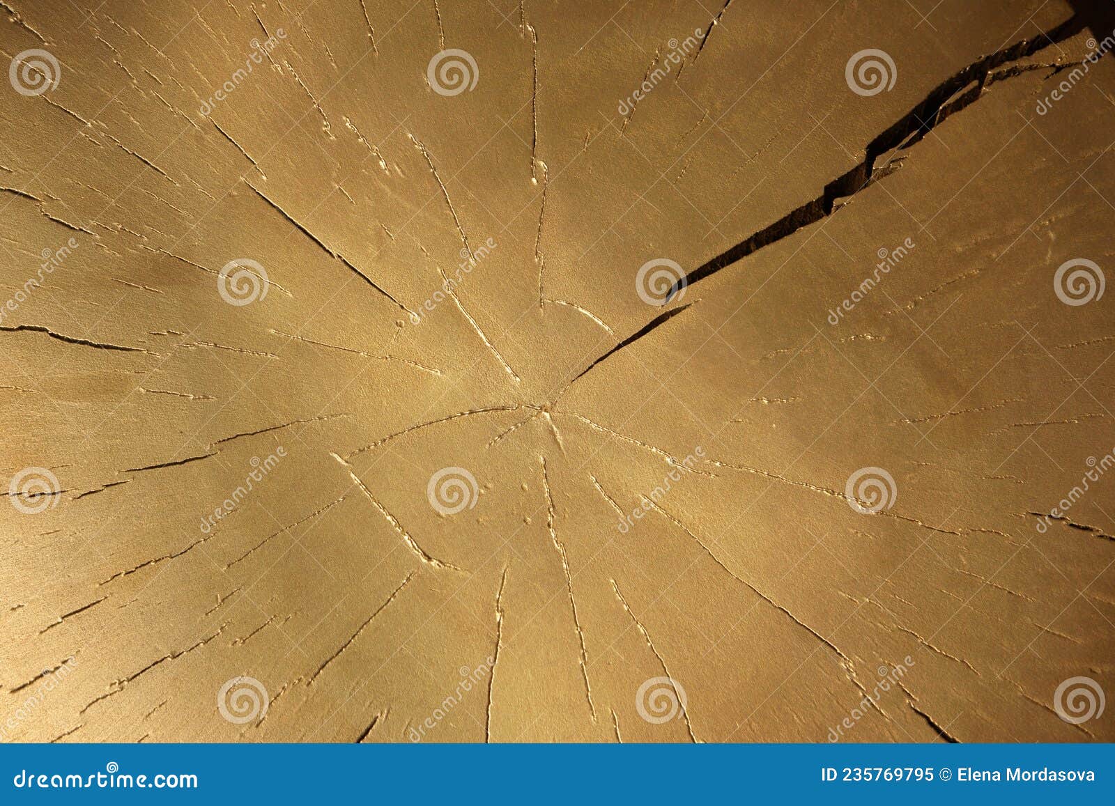 Golden Texture of a Saw Cut of a Tree, High Resolution Stock Image ...