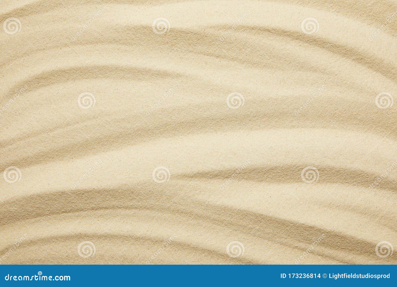 Golden and Textured Sandy Surface on Stock Photo - Image of textured ...