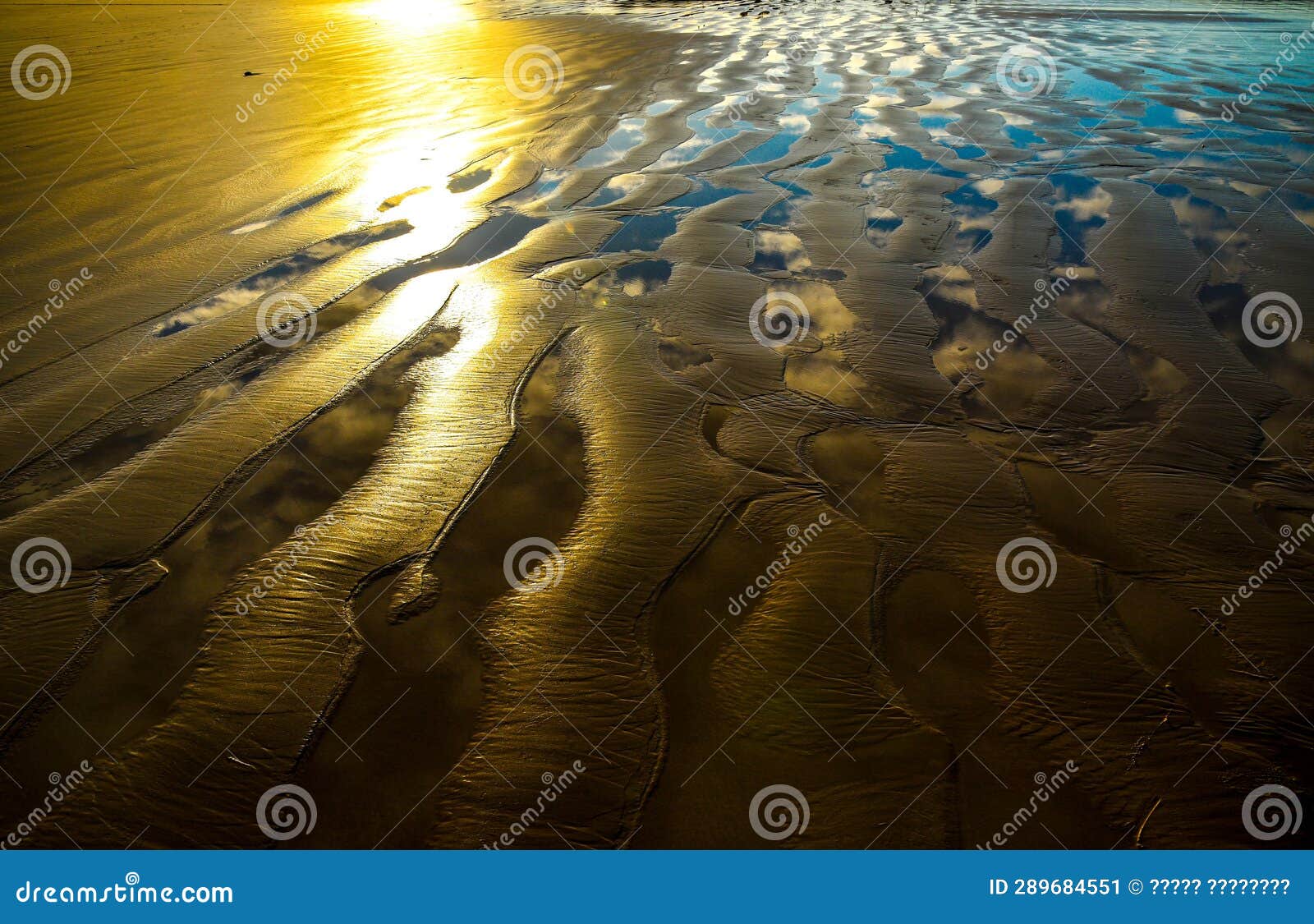 Golden tide stock image. Image of morning, sunlight - 289684551
