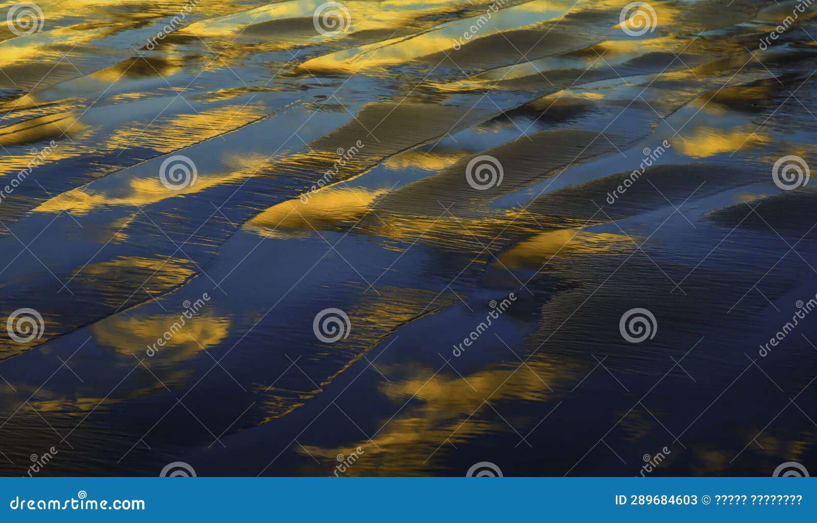 Golden tide stock image. Image of sunlight, horizon - 289684603