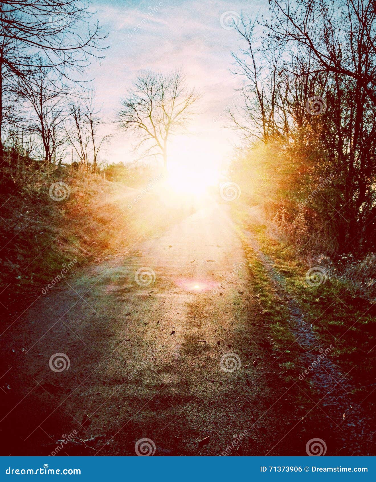 Golden Trail stock photo. Image of sits, scenic, trees - 71373906