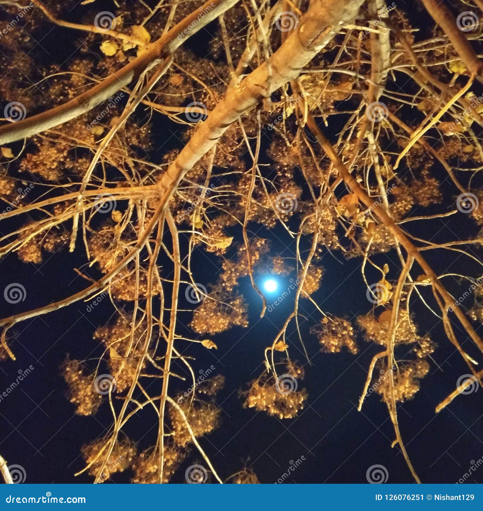 Sagon Stock Photos - Download 16 Royalty Free Photos