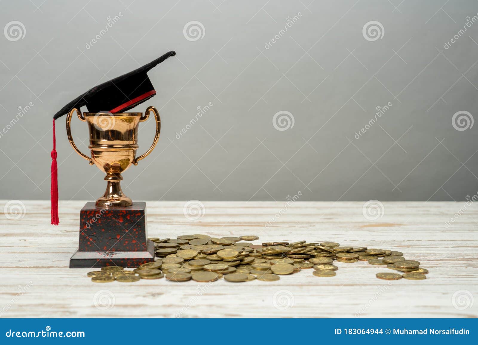 Successful saving plan. stock photo. Image of icon, concept - 183064944