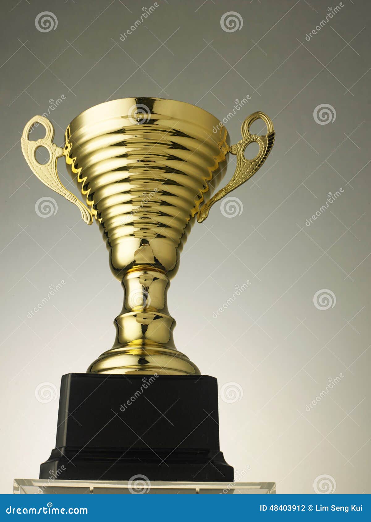 Golden trophy stock photo. Image of place, congratulation - 48403912